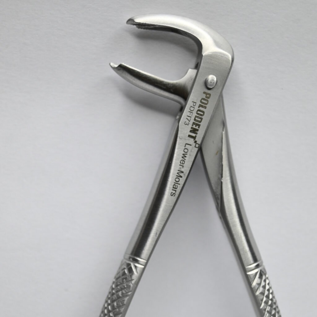 POLODENT LOWER MOLAR No. 22 – Pyrax Polymars