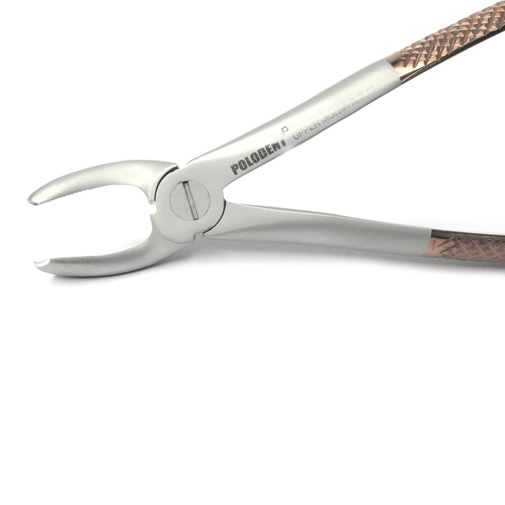 Polodent Extraction Forcep for Upper Anterior #1 Rose Gold – Pyrax Polymars