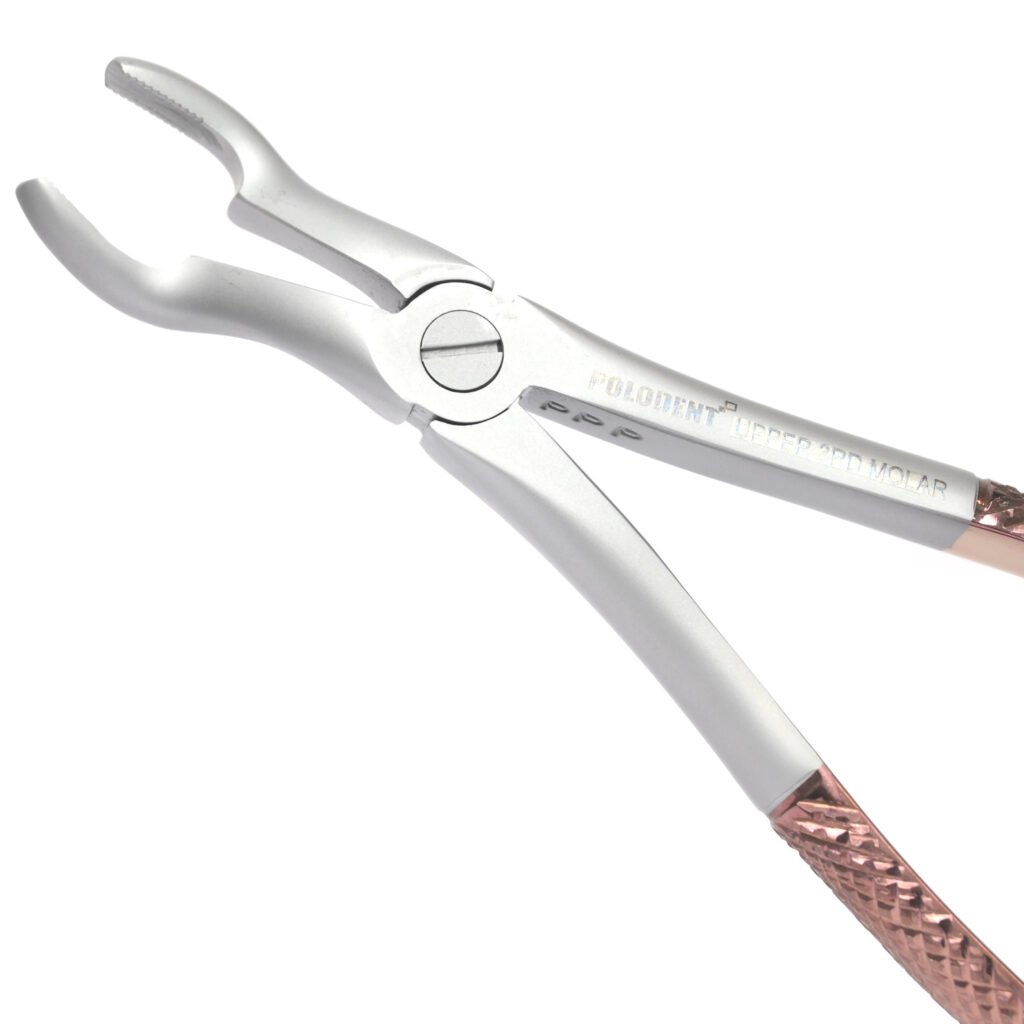Polodent Extraction Upper Molar Right Cowhorn #89 Rose Gold – Pyrax ...